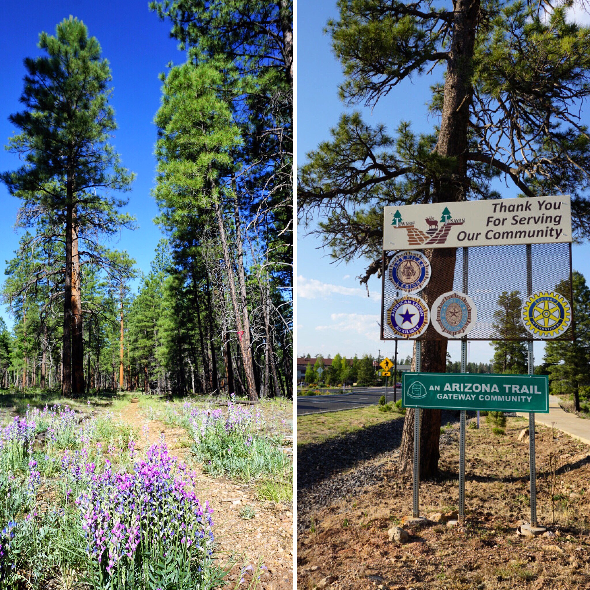 Tusayan Trails Phase 2 Update – Trails Inspire